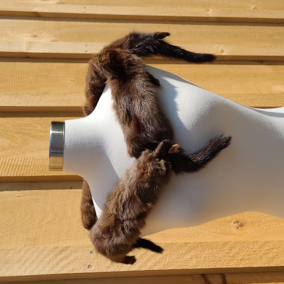 Vintage | Jackets & Coats | Vintage Mink Fur Full Body Shoulder Wrap ...